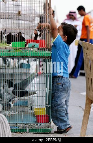 A hospital ward, Saudi Arabia Stock Photo - Alamy