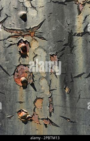 Metal Texture. High quality photo. Metal Texture. High quality photo ...