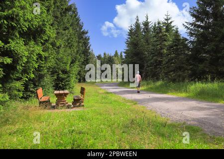 On the Hiking Trail Rennsteig in Germany Stock Photo - Alamy