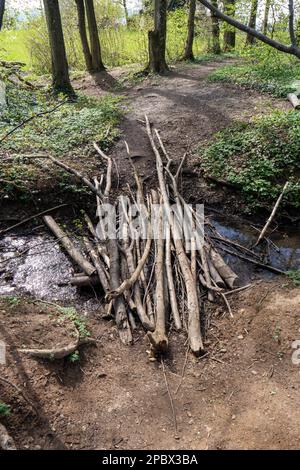 Small stream in the forest, broken trees covered in snow, winter ...