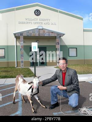 Goat in jail Stock Photo - Alamy