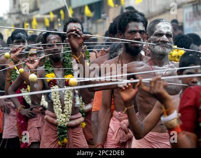 Devotees, faces smeared with ash and cheeks pierced with a steel rod ...