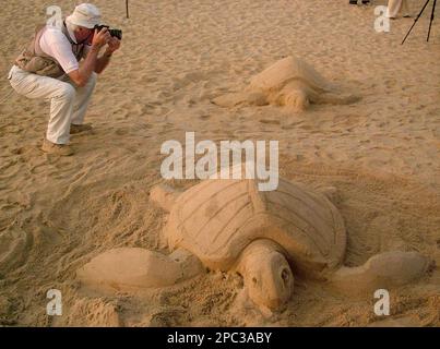 Olive ridley turtles beach, puri, orissa, india, asia Stock Photo - Alamy