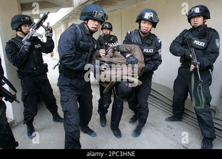Chinese SWAT team and their weapons during a public demonstration Stock ...