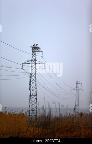 In the evening, the outline of substation Stock Photo - Alamy