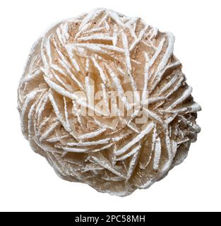 Desert Rose - Baryte (barium sulphate) Closeup. [Image frame c1cm ...