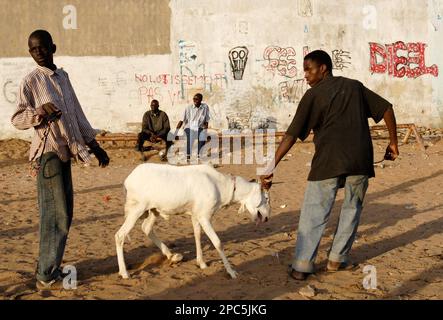 Tabaski or Eid Al Adha. The slaughter of a goat in a ritual sacrifice ...