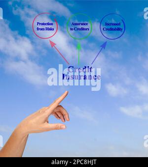 Three Functions of Credit Insurance Stock Photo - Alamy