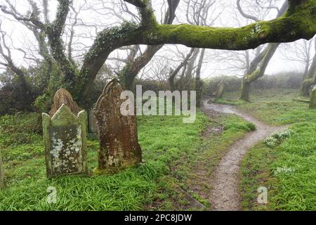 The graveyard at St. Dennis parish church, Cornwall, UK - John Gollop ...