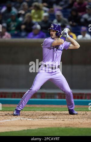 Jacob Jenkins-Cowart (3) of the East Carolina Pirates at bat against ...