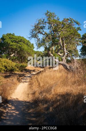 Fort Ord National Monument, California Stock Photo - Alamy