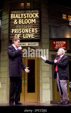 David Hasselhoff Opening of Mel Brooks' musical comedy 'The Producers ...