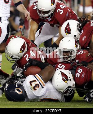 Chicago Bears fullback Jason McKie in an NFL football game Sunday, Oct ...