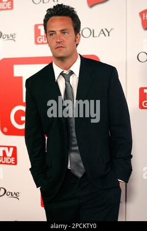 Matthew Perry Tv Guide