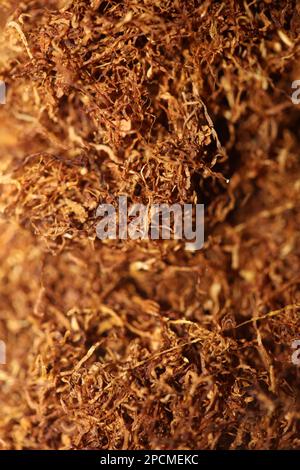 Rolling tobacco close up background big size high quality stock photos ...