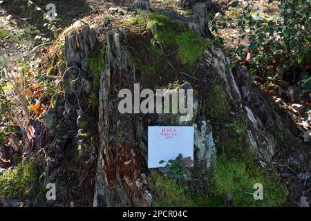 Autumn colours in Hogsback, South Africa Stock Photo - Alamy
