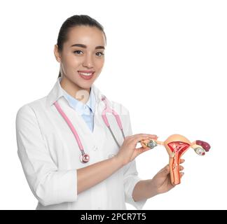 Doctor demonstrating model of female reproductive system on light blue ...