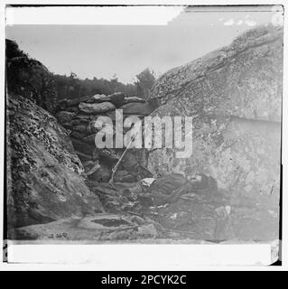 Gettysburg, Pennsylvania. Body of Confederate sharpshooter, Civil War ...