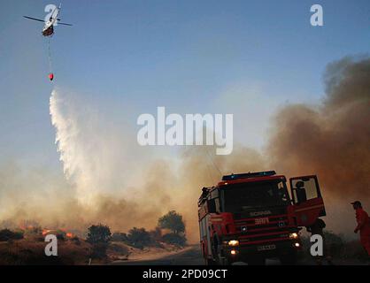 Carob trees in Cyprus Stock Photo - Alamy