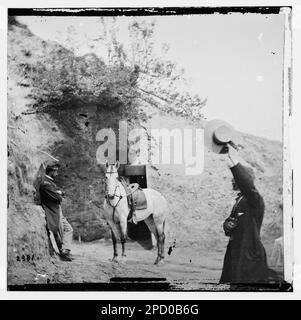 Yorktown, Virginia. Captain Perkin's 'Sesesh' horse captured at ...