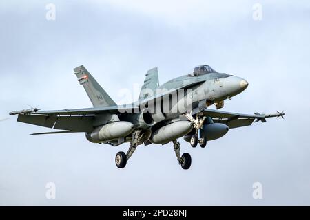 McDonnell Douglas CF-18 Hornet F18 Canadian military fighter jet taking ...