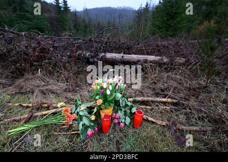 Freudenberg, Germany. 14th Mar, 2023. Flowers and candles were laid at ...