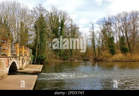 A view of the Mill Pool and River Bure at the former watermill at ...