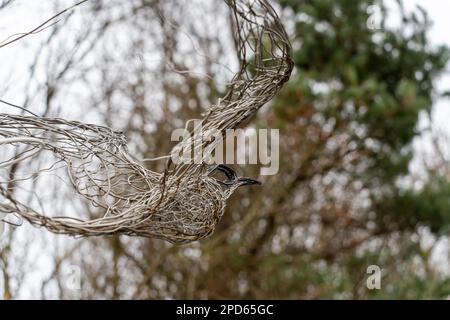 Roseate Terns In Flight by Celia Smith, part of the Bord Waalk ...