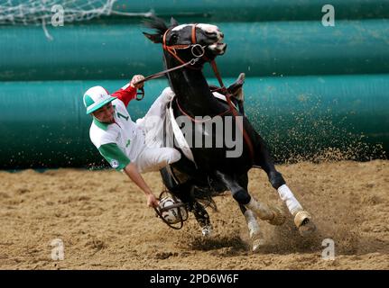 Pato Game Match in Buenos Aires, Argentina. Pato, also known as ...