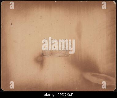 William Mahone of Virginia, 1865-1880. Mahone, Hon. Senator of Virginia ...