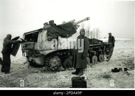 German 'Wespe' artillery self-propelled guns Stock Photo - Alamy