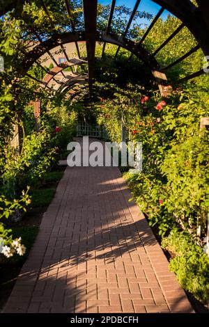 Trellis Covered Rose Garden Walkway Stock Photo - Alamy