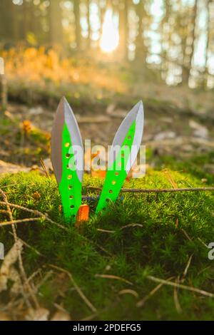 throwing knives on a mossy stump in a sunny forest.Sport and hobby ...