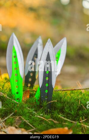 throwing knives set in green moss on sunny pine forest background ...