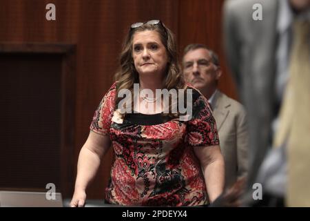 Phoenix, Arizona, USA. 14th Mar, 2023. Arizona State Representative Justin Wilmeth speaks on the ...