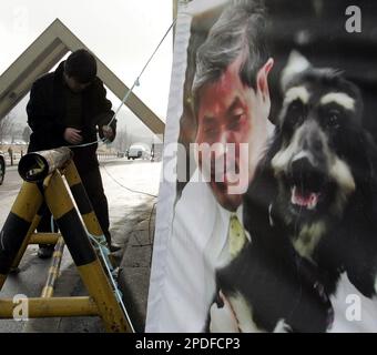 The world's first cloned dog Snuppy, right, looks at its puppies at ...