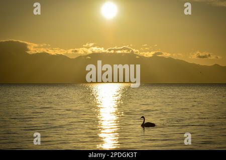 the mountains and waters around Tarim Lake are a unique and beautiful ...
