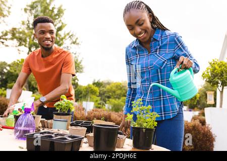 Happy african american couple watering plants in garden, copy space ...