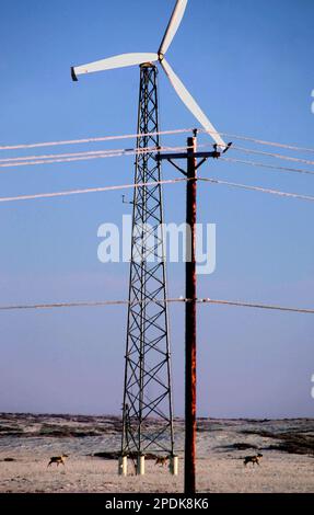 Residents walk past the turbines on Tolo 1Jeneponto wind energy power ...