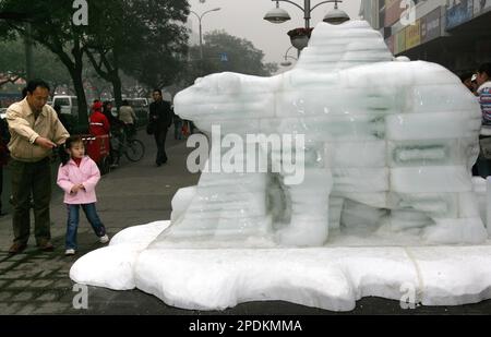 The life-size ice sculpture of a Polar bear by Mark Coreth, slowly ...