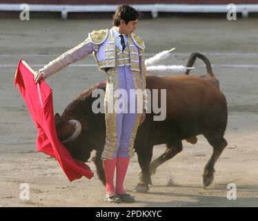 A bull passes by French bullfighter Sebastian Castella during the ...