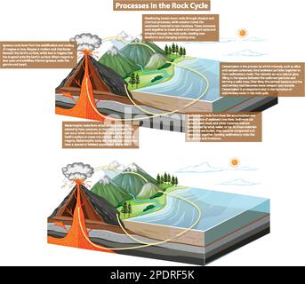 Rock Cycle Processes Diagram illustration Stock Vector Image & Art - Alamy