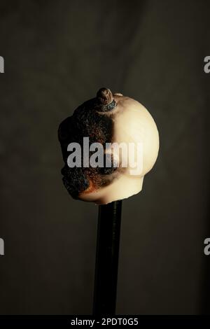 Damaged Dirty burnt Doll head on grey background Stock Photo - Alamy