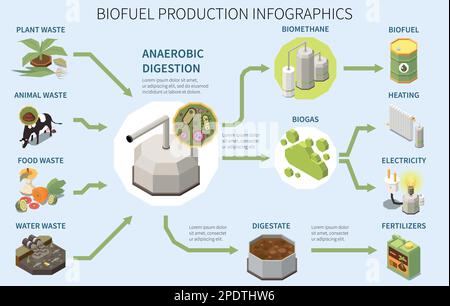 Biofuel production infographics poster with types of organic waste ...