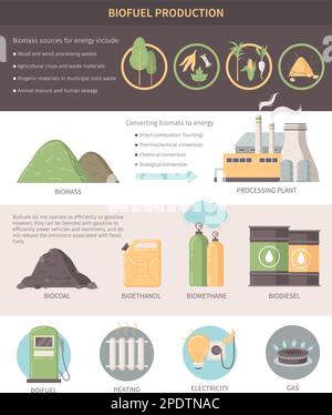 Biofuel production infographics layout illustrating biomass sources and ...