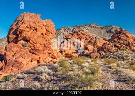 Aztec sandstone rock formations at Redstone Trail, Redstone Petrified ...