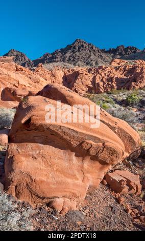 Aztec sandstone rock formations at Redstone Trail, Redstone Petrified ...