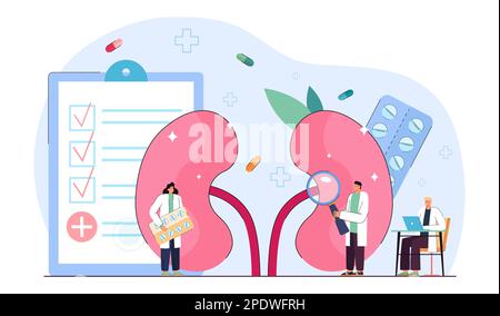 Nephropathy concept vector. Tiny doctors treat kidneys. Pyelonephritis ...