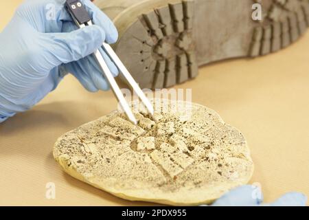 A forensic scientist matching a plaster cast of a boot print with real ...