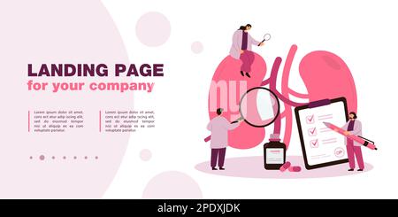 Doctors studying kidneys of donor at clinic. Medical persons checking ...